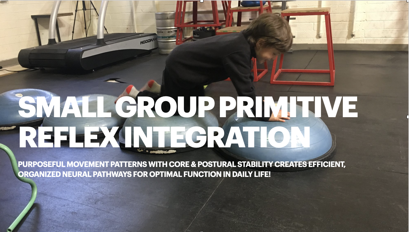 Primitive Reflex Integration 101